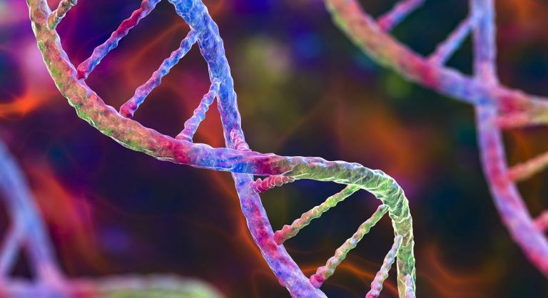 Juan Rosenfeld, presidente de Genix: "Queremos usar la genética para ...